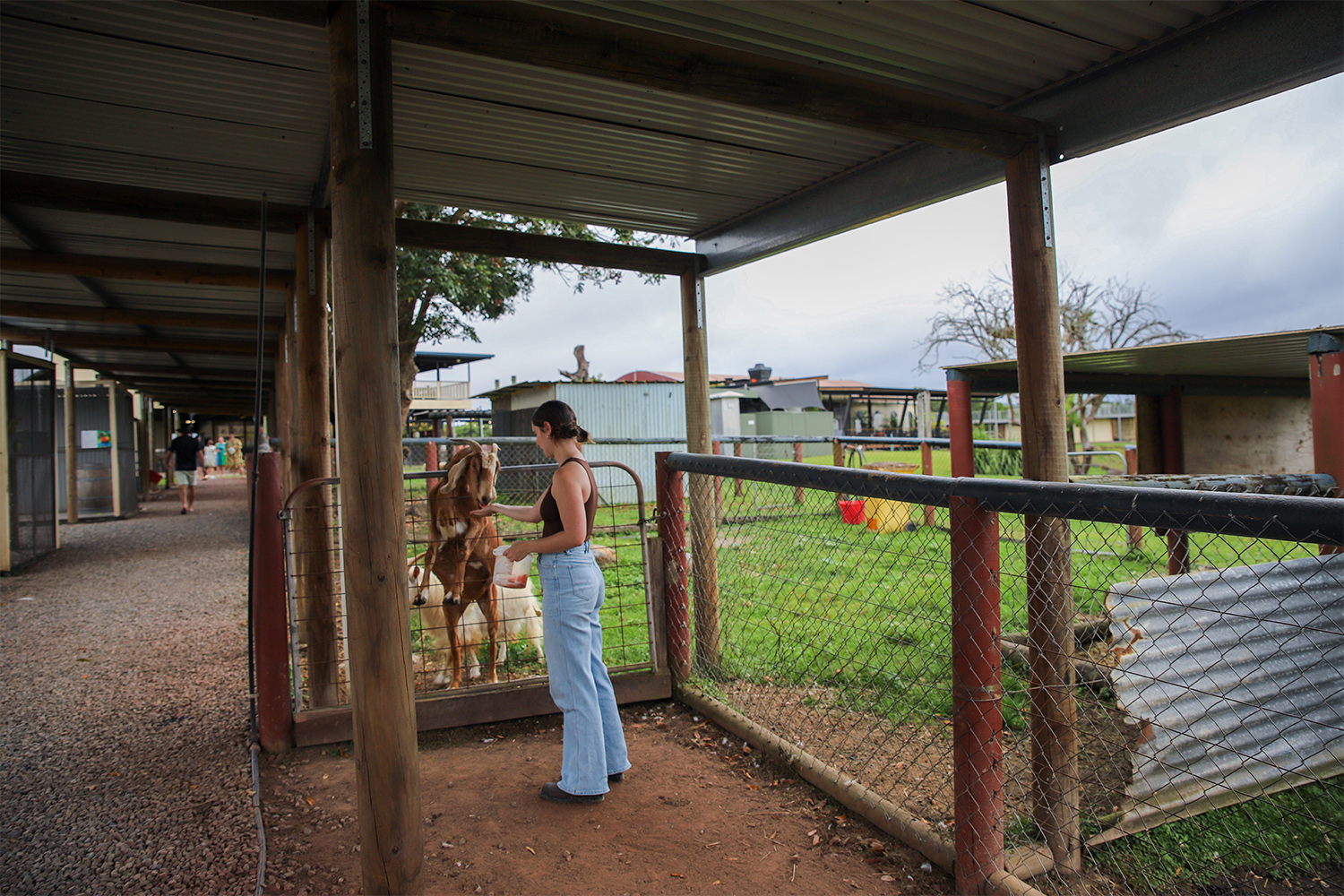 Kurcow Farm Experience | Cairns & Great Barrier Reef
