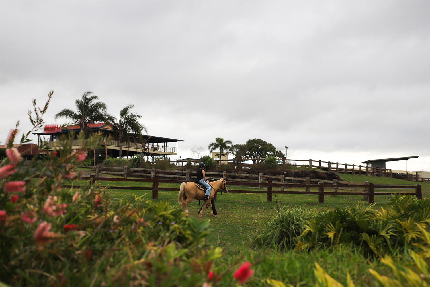 Kurcow Farm Experience | Cairns & Great Barrier Reef