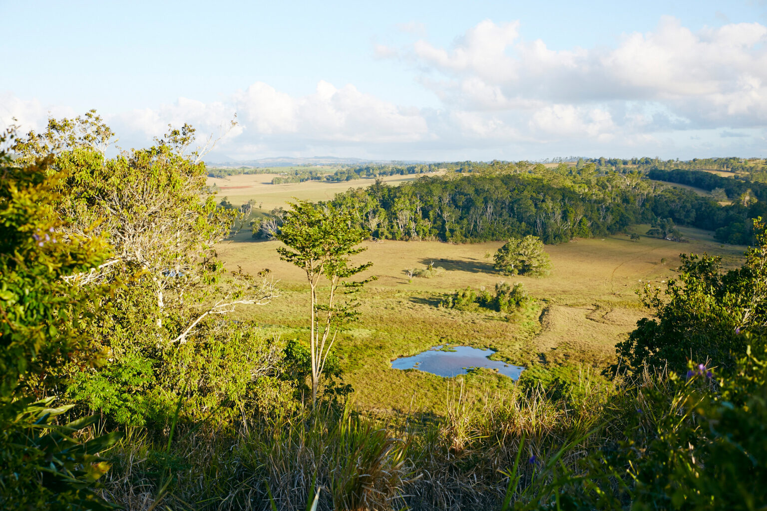 Unleash your inner geologist with these volcanic landscapes | Cairns ...