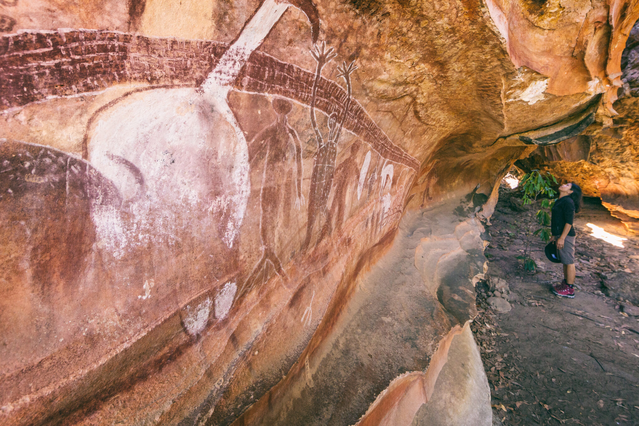 Five Ways to Visit Aboriginal Rock Art | Cairns & Great Barrier Reef