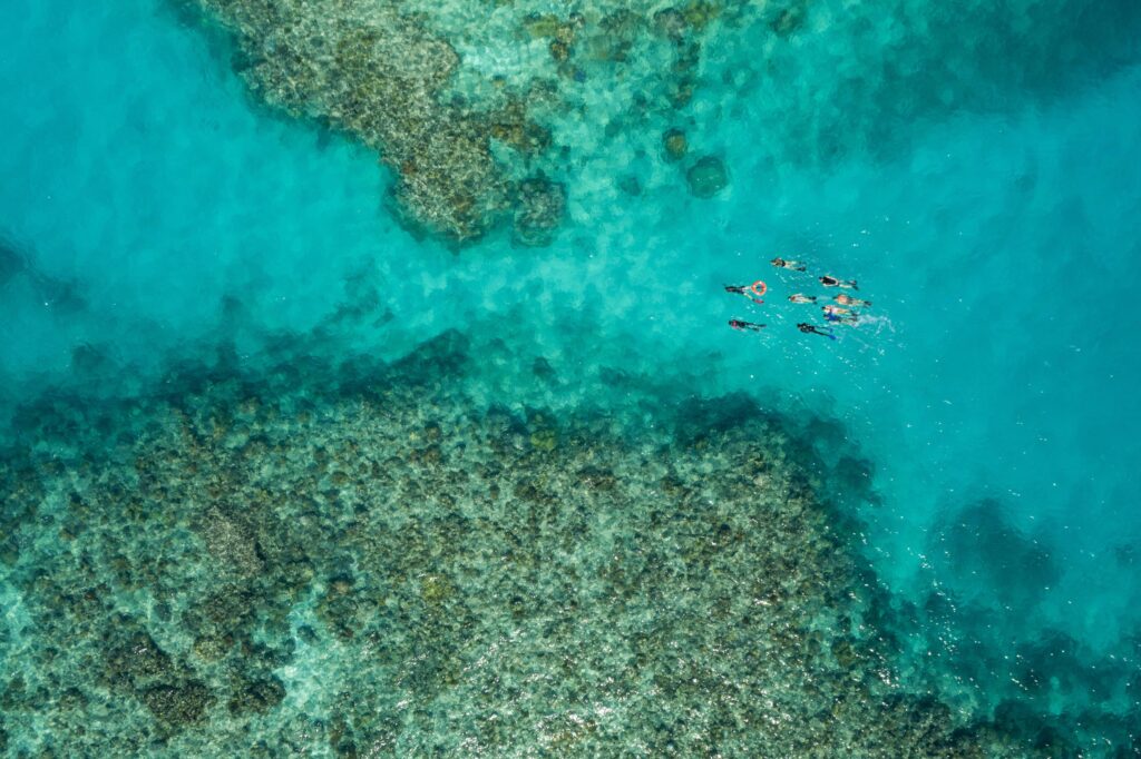 Explore Tropical North Queensland | Cairns & Great Barrier Reef