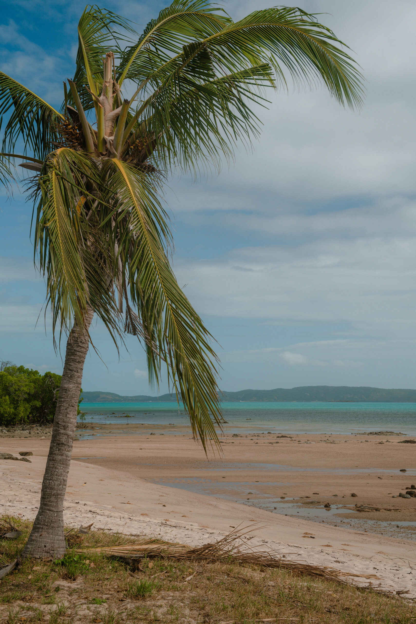 72 Hours in Cape York and the Torres Strait Islands | Cairns & Great ...