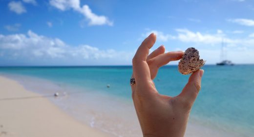 Sand Cays To Visit | Cairns & Great Barrier Reef
