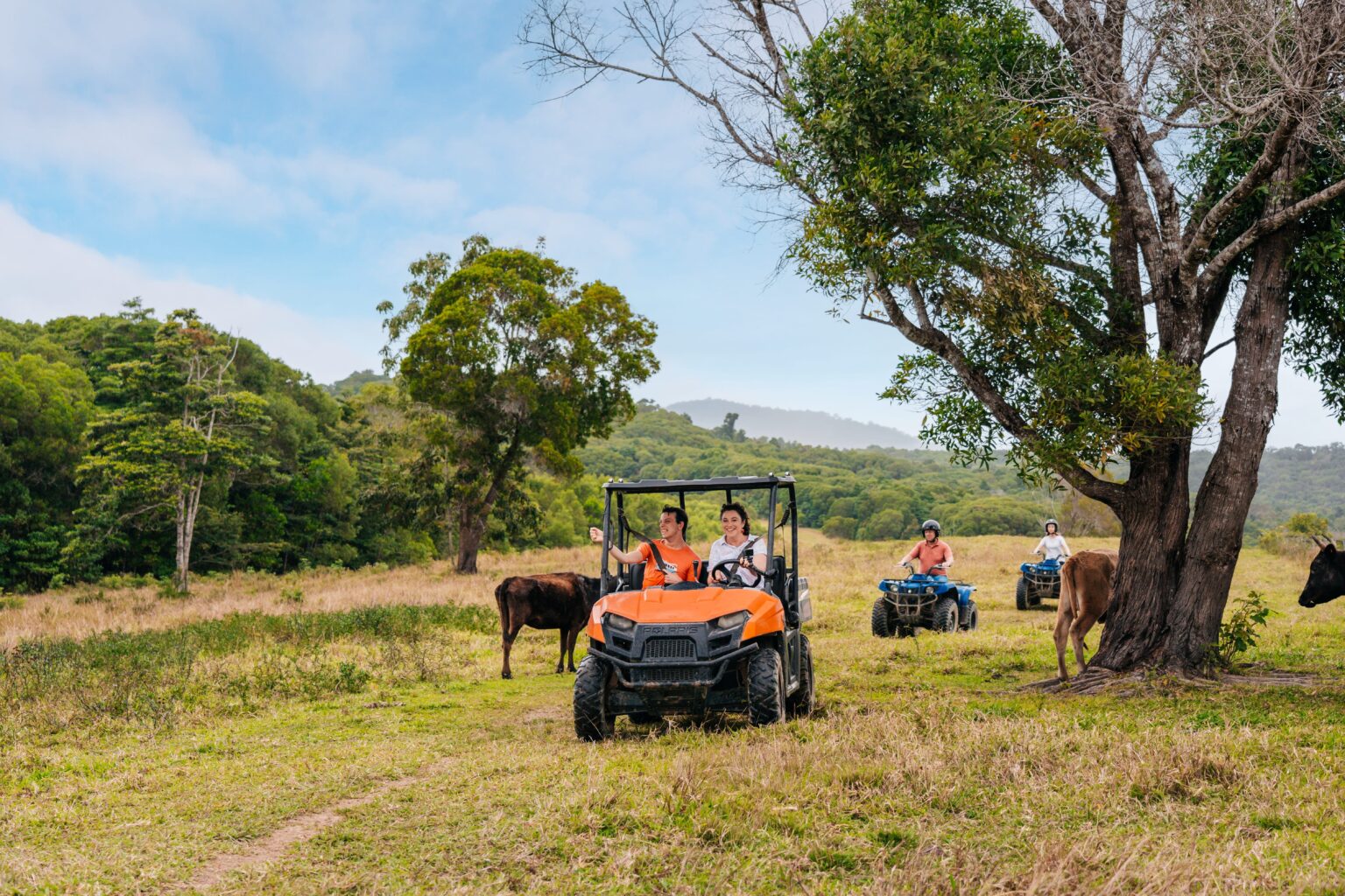 Agritourism Gems in Mareeba Shire | Cairns & Great Barrier Reef