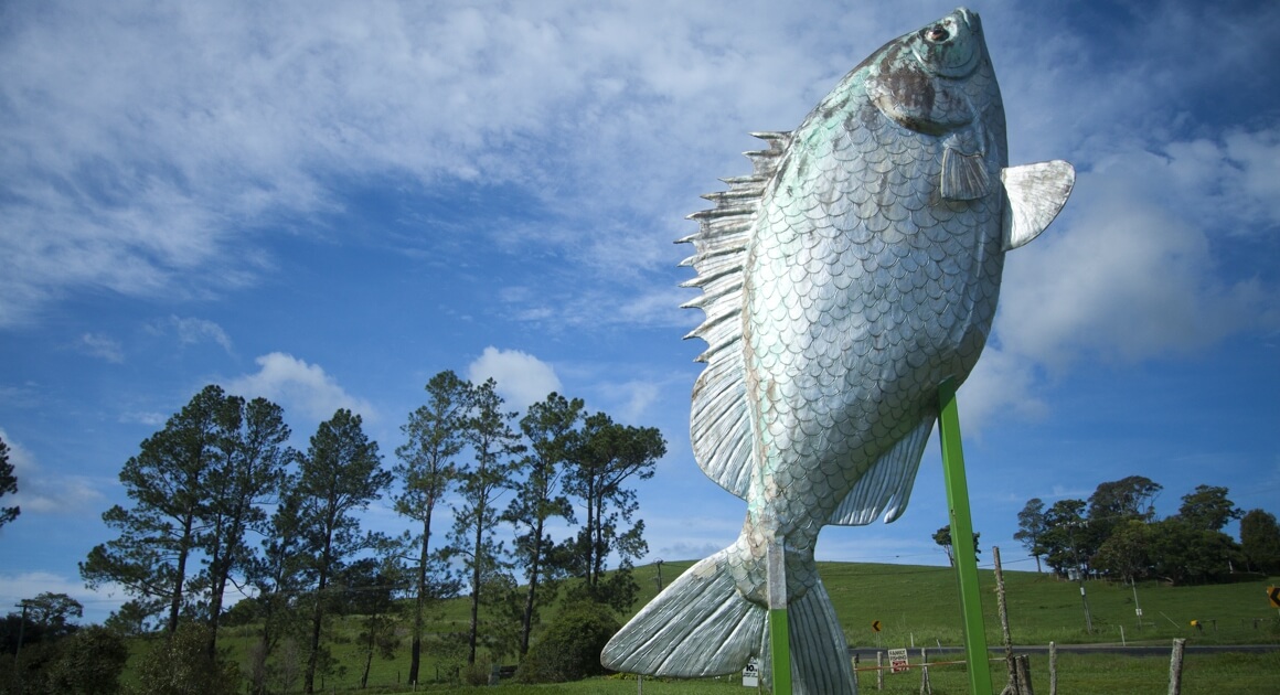 Food Trail Highlights On The Atherton Tablelands | Cairns & Great ...