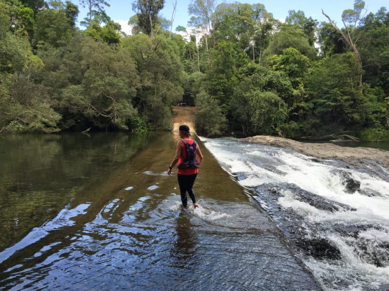 Guide To Walking The Red Arrow | Cairns & Great Barrier Reef