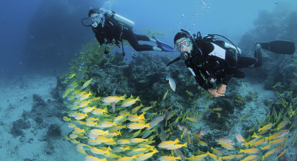 Everything You Need To Know About Scuba Diving | Cairns & Great Barrier ...