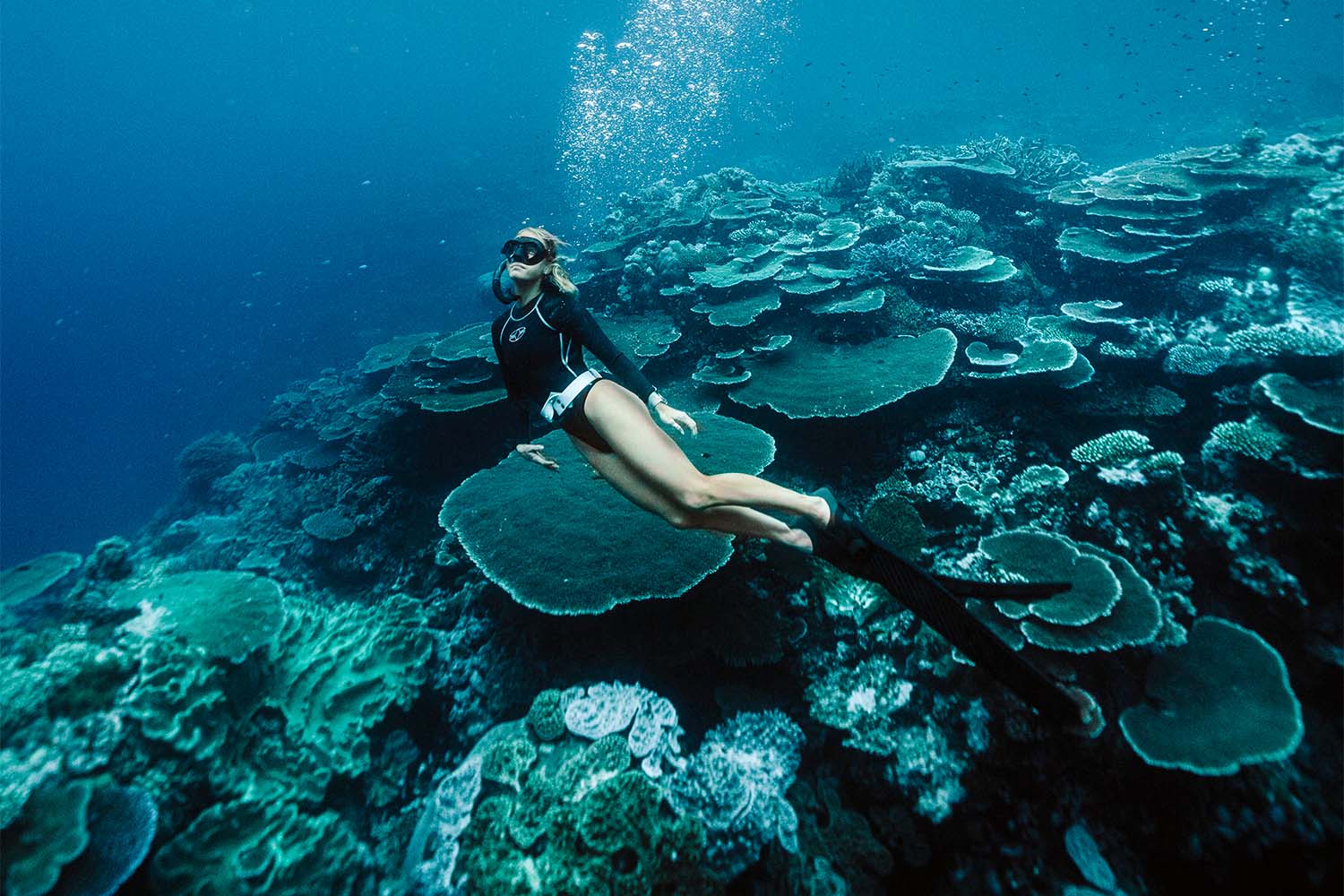 Things To Do In Cairns For Cruise Ship Visitors | Cairns & Great ...