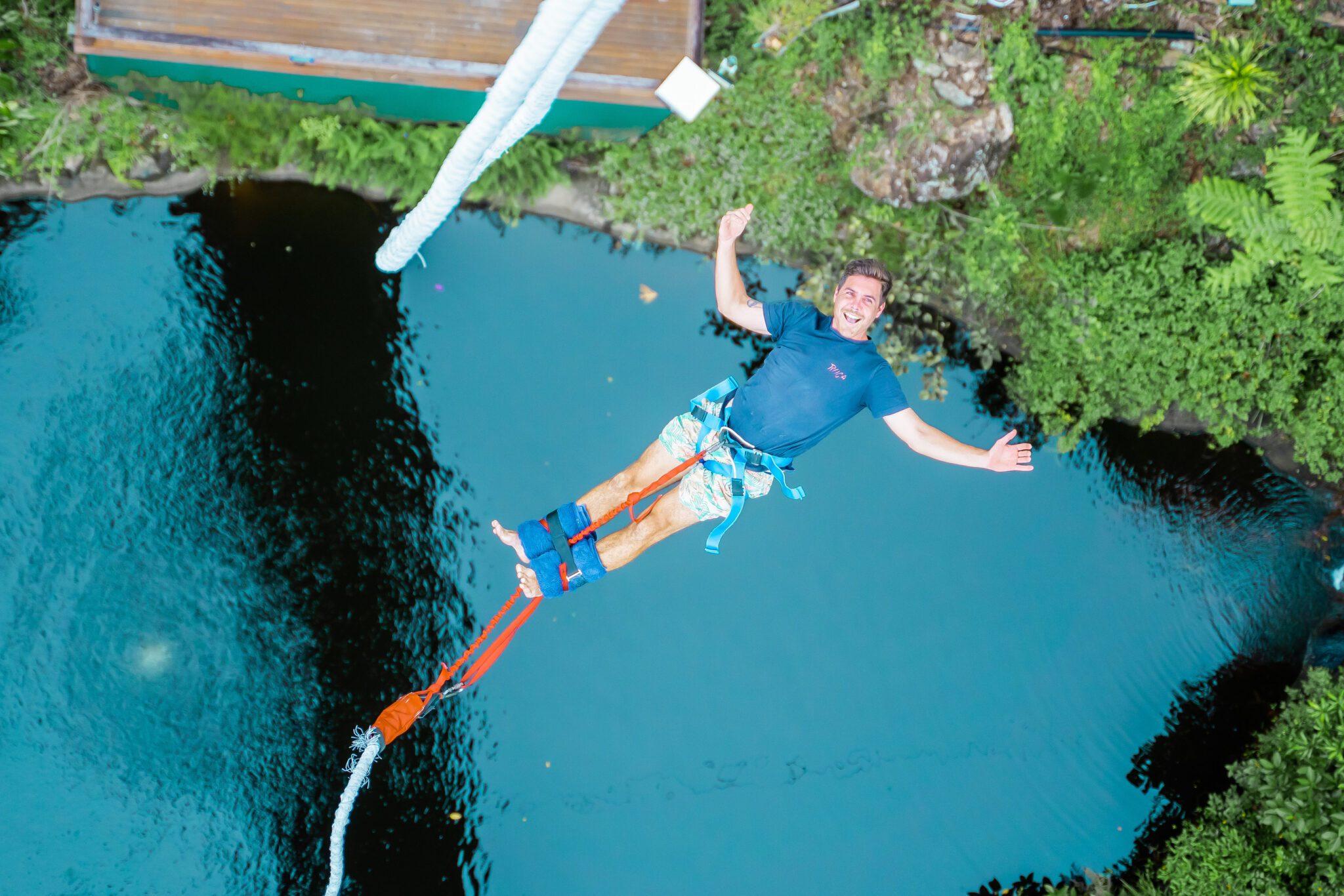 The Ultimate ‘Only in Tropical North Queensland’ guide | Cairns & Great ...