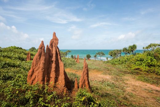 Things To Do In Cooktown | Cairns & Great Barrier Reef