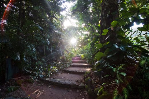 How To Explore The Rainforest Near Cairns | Cairns & Great Barrier Reef