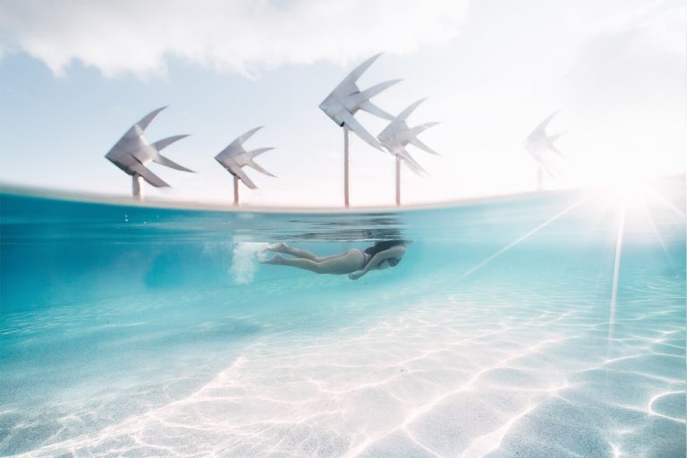 16 things to do on your first trip to Cairns | Cairns & Great Barrier Reef