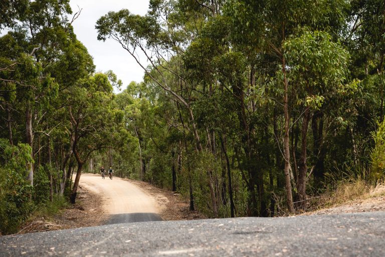 Mountain Biking Trails From Cairns to Cardwell | %%sitename%5