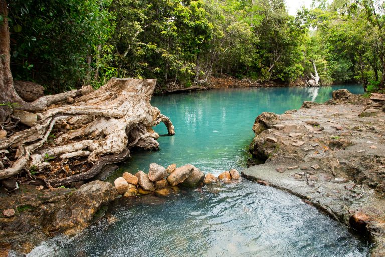 How To Get To The Cardwell Spa Pool | Cairns & Great Barrier Reef