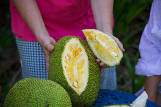 The ultimate Port Douglas to Daintree foodie trail | Cairns & Great ...