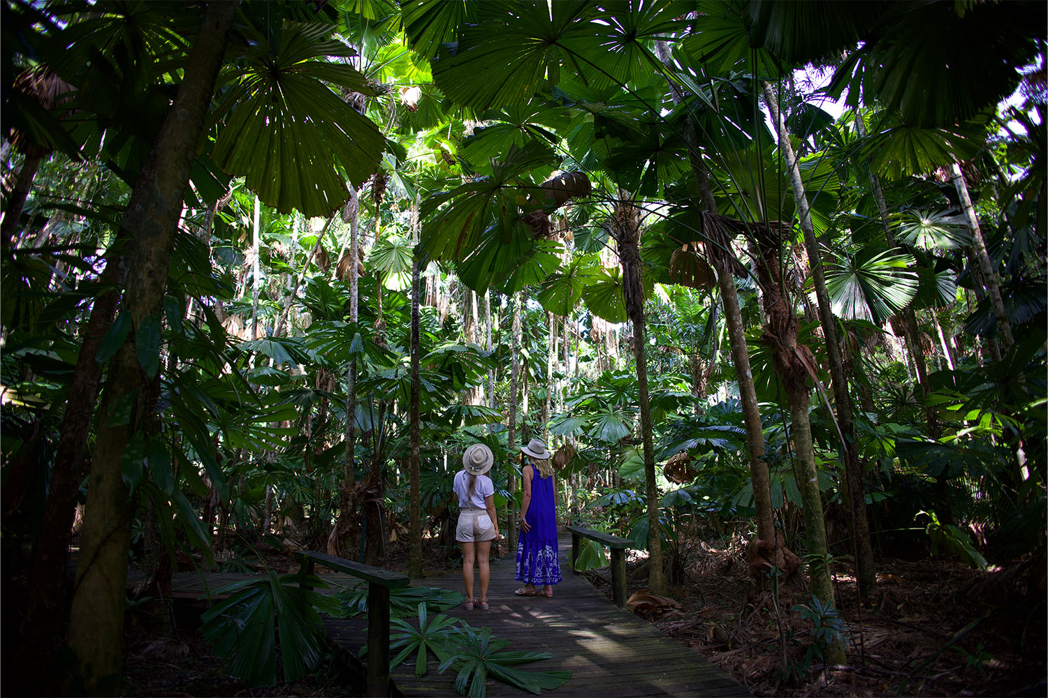 The ultimate Port Douglas to Daintree foodie trail | Cairns & Great ...