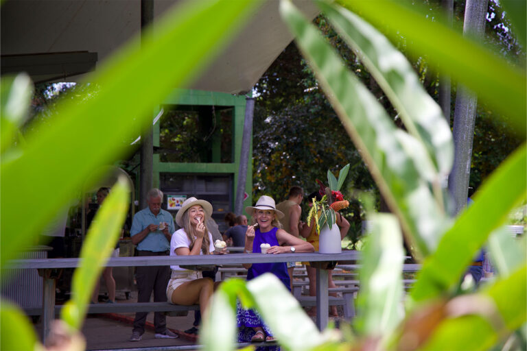 The ultimate Port Douglas to Daintree foodie trail | Cairns & Great ...