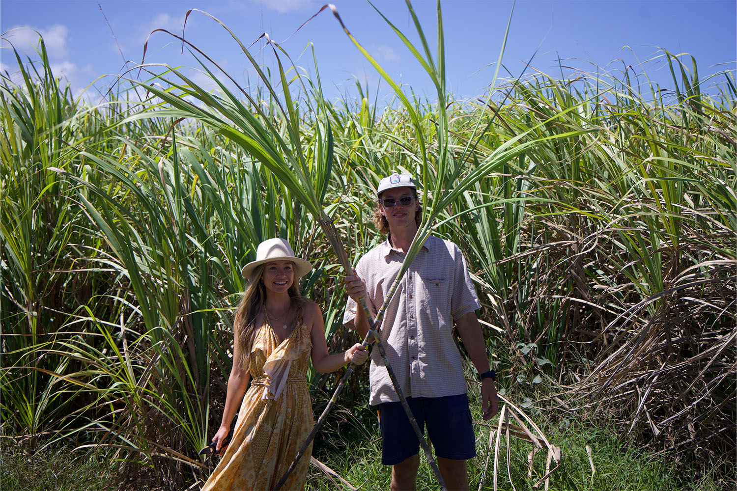 The ultimate Port Douglas to Daintree foodie trail | Cairns & Great ...