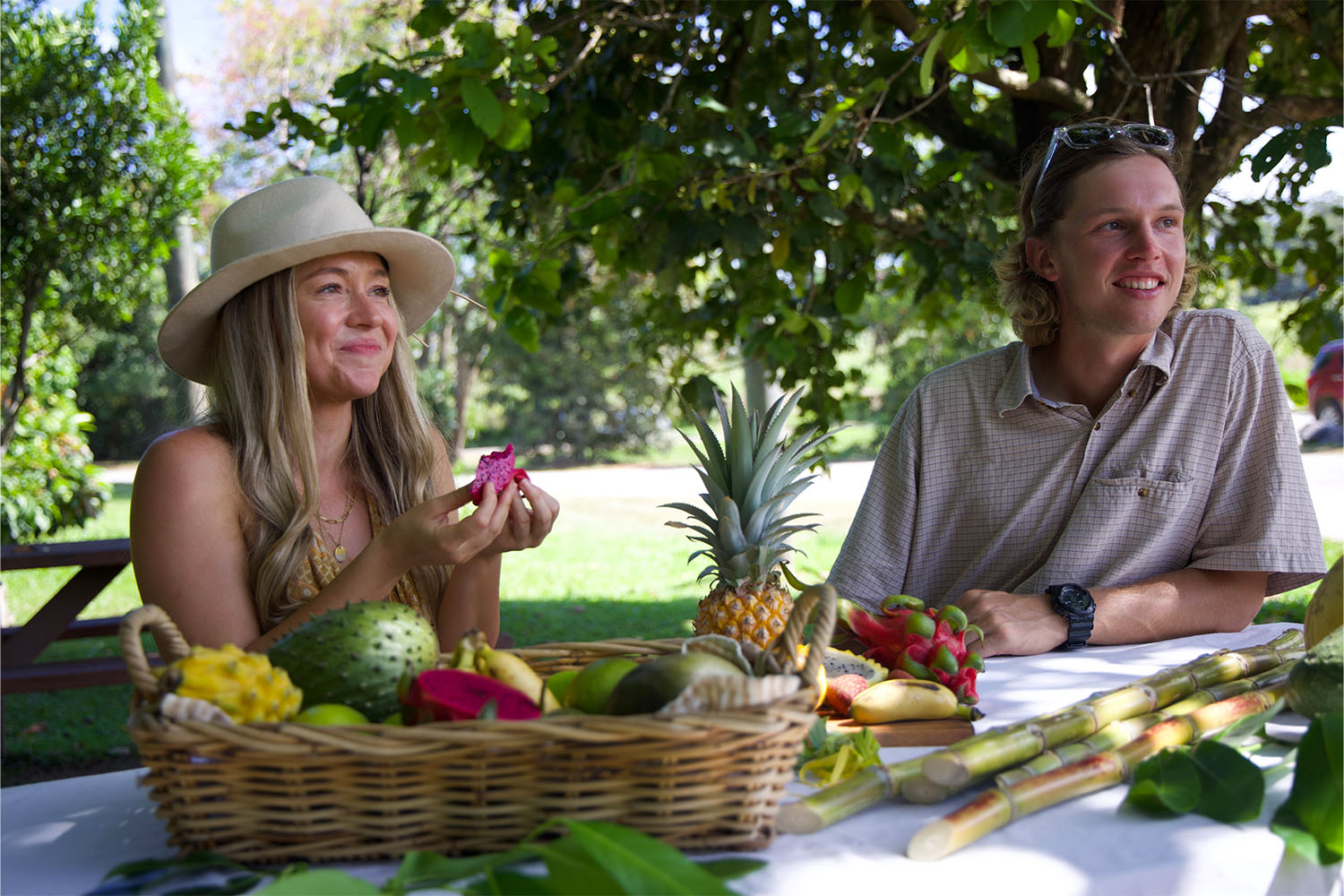 Articles | Cairns & Great Barrier Reef