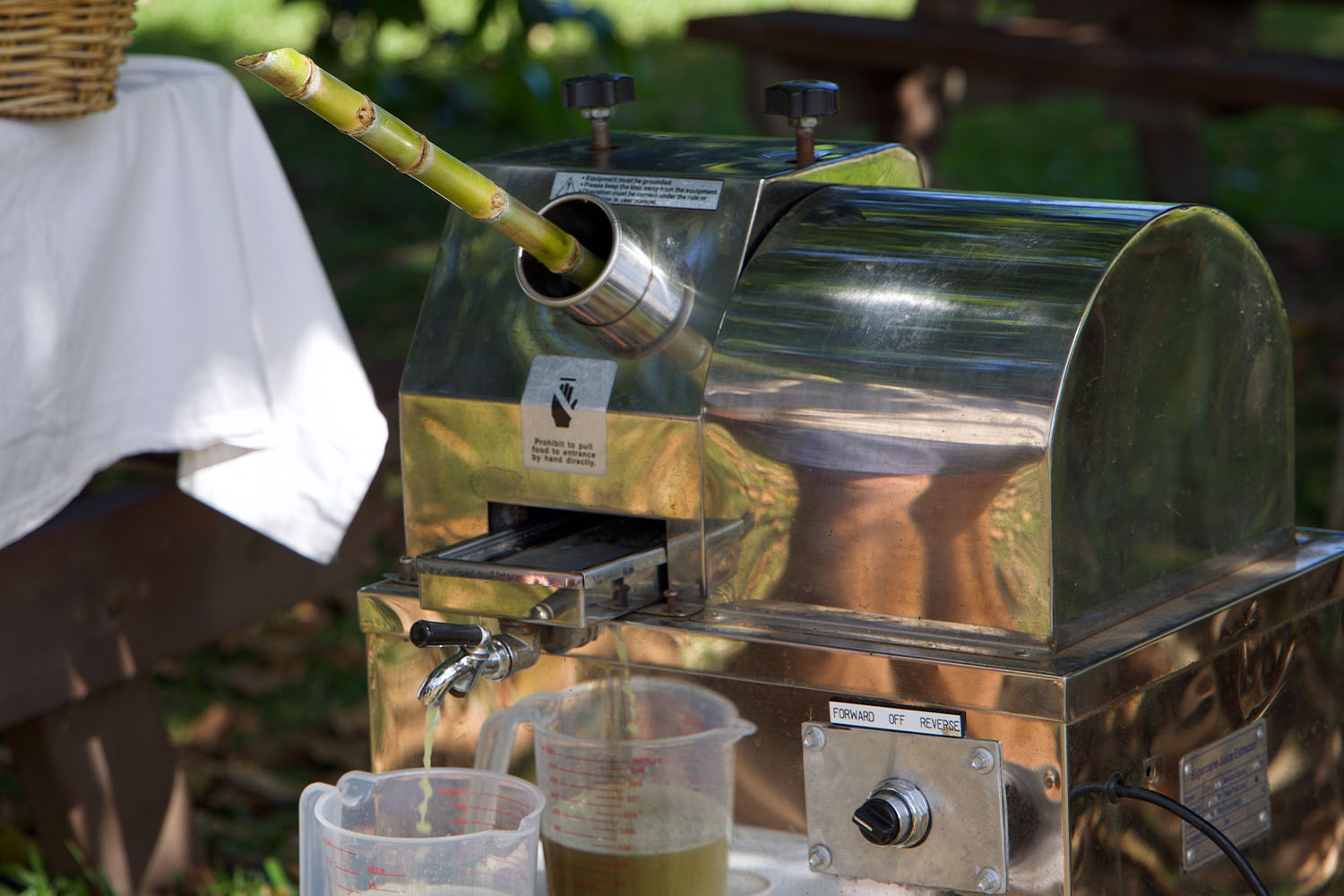 The ultimate Port Douglas to Daintree foodie trail | Cairns & Great ...