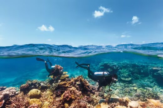 Tully Visitor Information Centre | Cairns & Great Barrier Reef