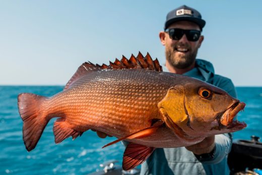 Sustainable fishing in Cairns & the Great Barrier Reef | Cairns & Great ...
