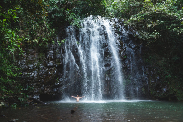 Best Waterfalls On The Atherton Tablelands | Cairns & Great Barrier Reef