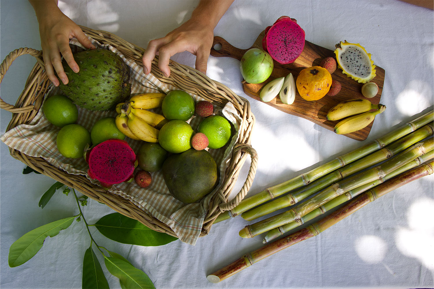 The ultimate Port Douglas to Daintree foodie trail | Cairns & Great ...