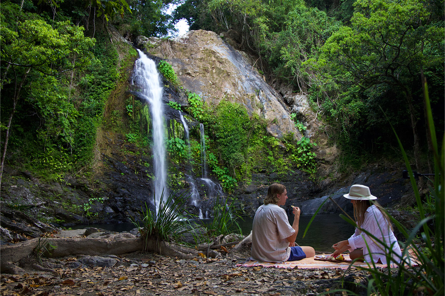 The ultimate Port Douglas to Daintree foodie trail | Cairns & Great ...