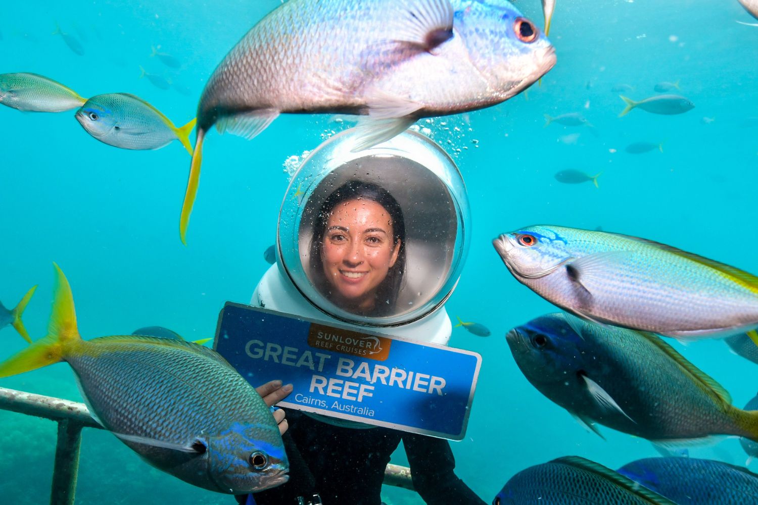Above, on, in, and under the sea: The ultimate Great Barrier Reef ...