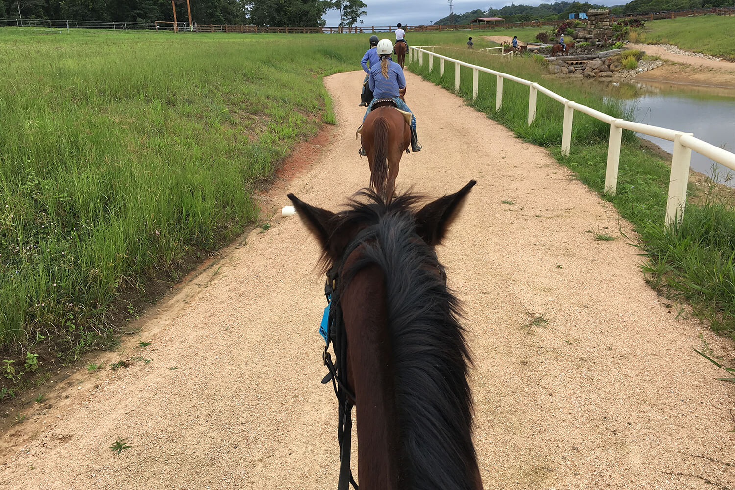Kurcow Farm Experience | Cairns & Great Barrier Reef