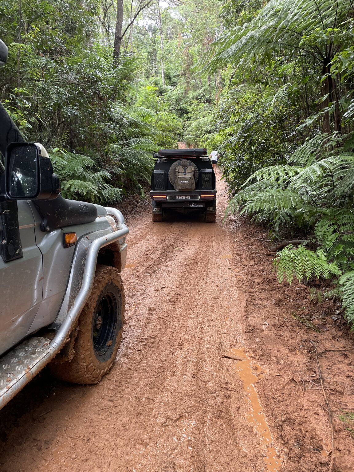 Must Do 4WD tracks in Tropical North Queensland | Cairns & Great ...