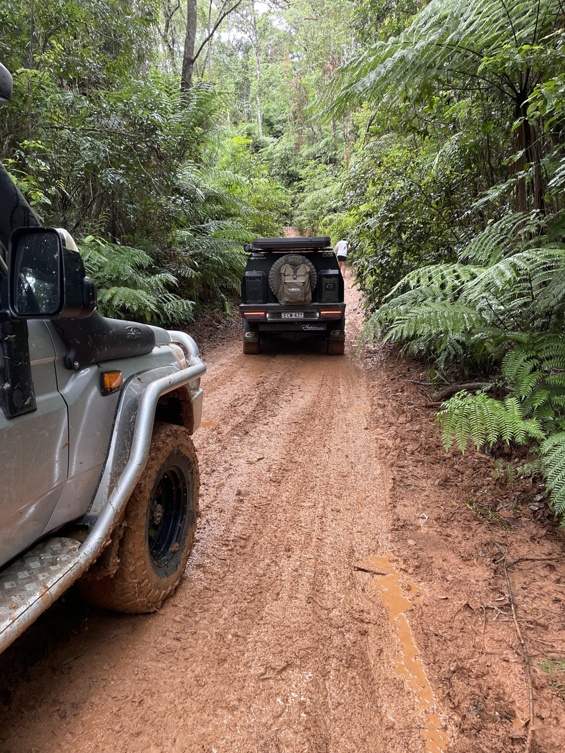 Must Do 4WD tracks in Tropical North Queensland | Cairns & Great ...