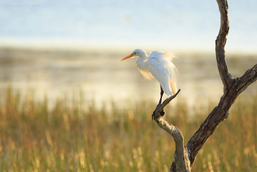 10 things near Mareeba worth the drive from Cairns | Cairns & Great ...