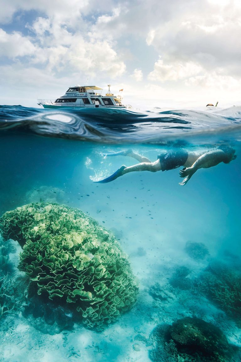 Guide To Mission Beach | Cairns & Great Barrier Reef