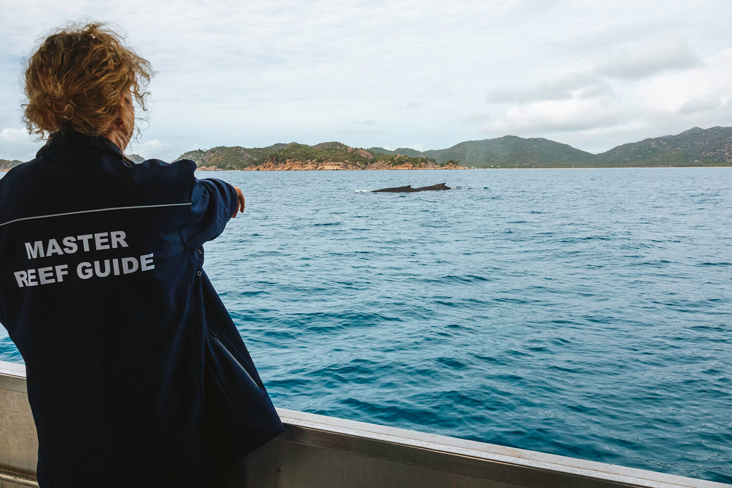 Everything you need to know about Master Reef Guides | Cairns & Great ...