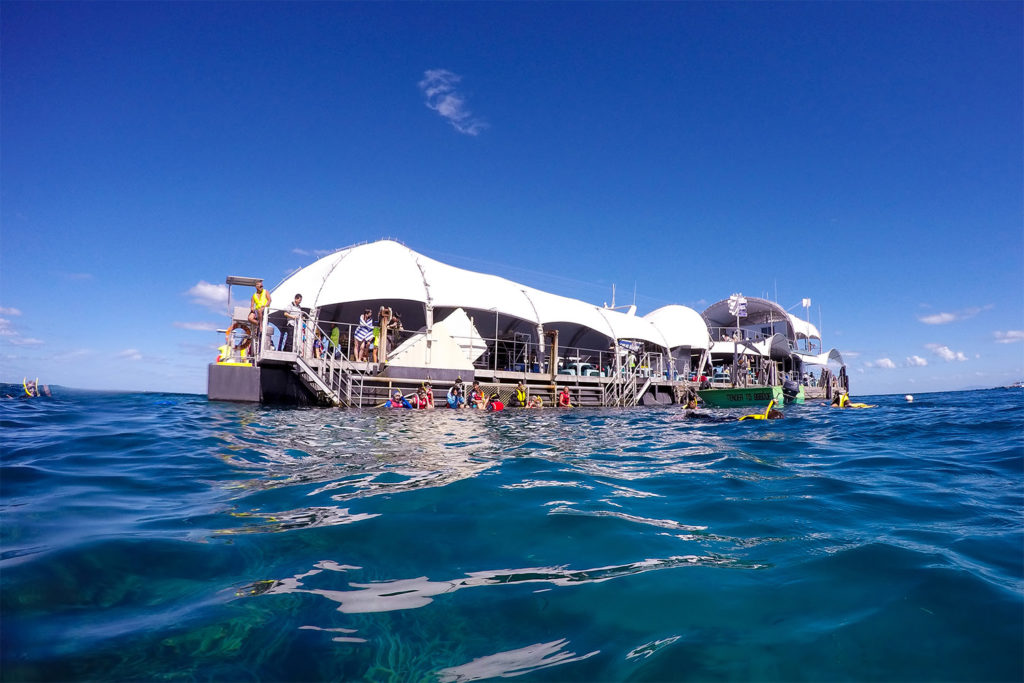 10% off reef pontoon | Cairns & Great Barrier Reef