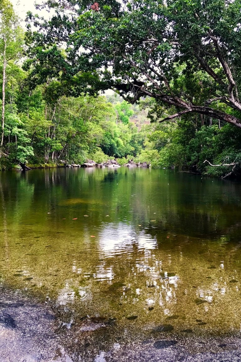 Visiting The Cardwell Spa Pool | Cairns & Great Barrier Reef
