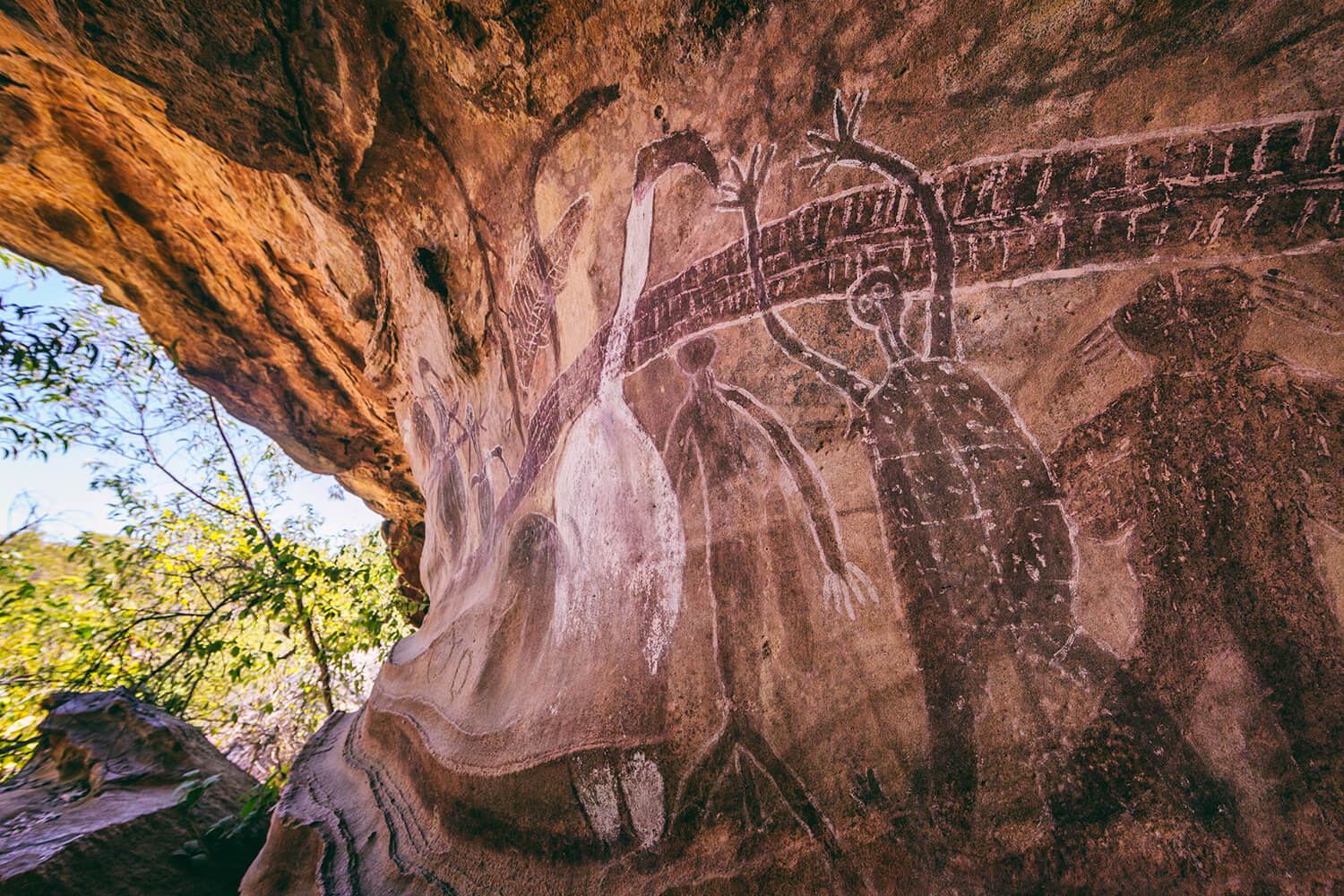 Five Ways to Visit Aboriginal Rock Art | Cairns & Great Barrier Reef