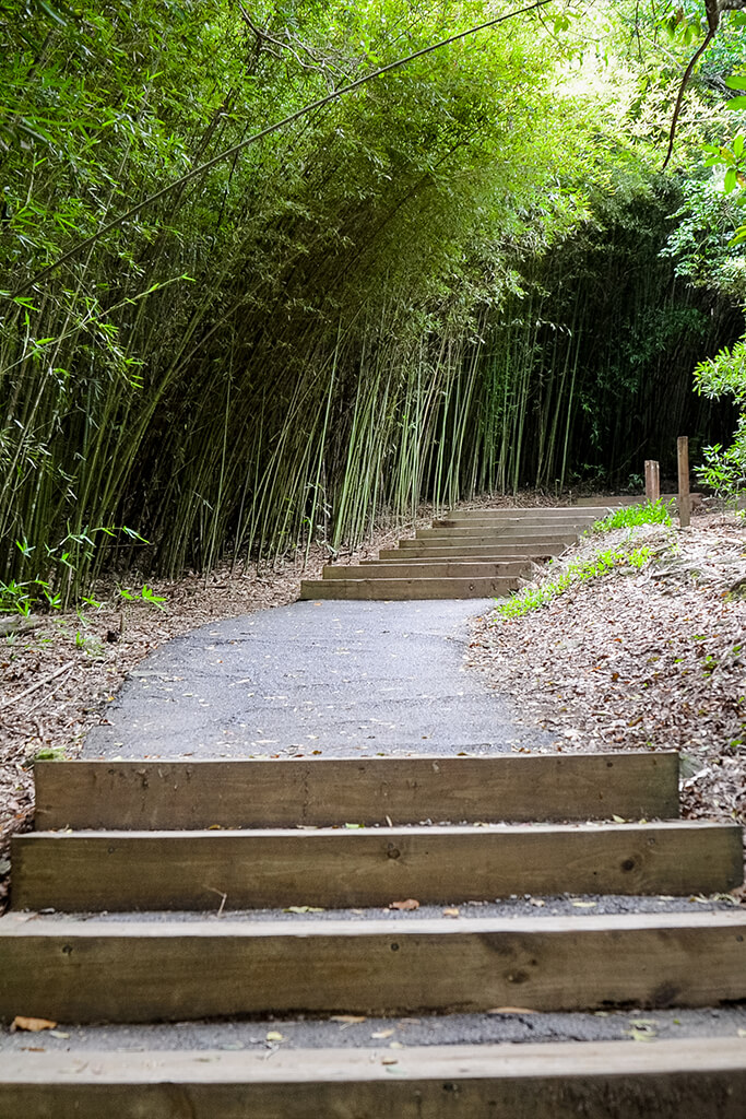 Guide To Walking The Red Arrow | Cairns & Great Barrier Reef
