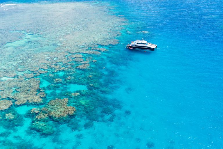 Connecting To Indigenous Culture | Cairns & Great Barrier Reef
