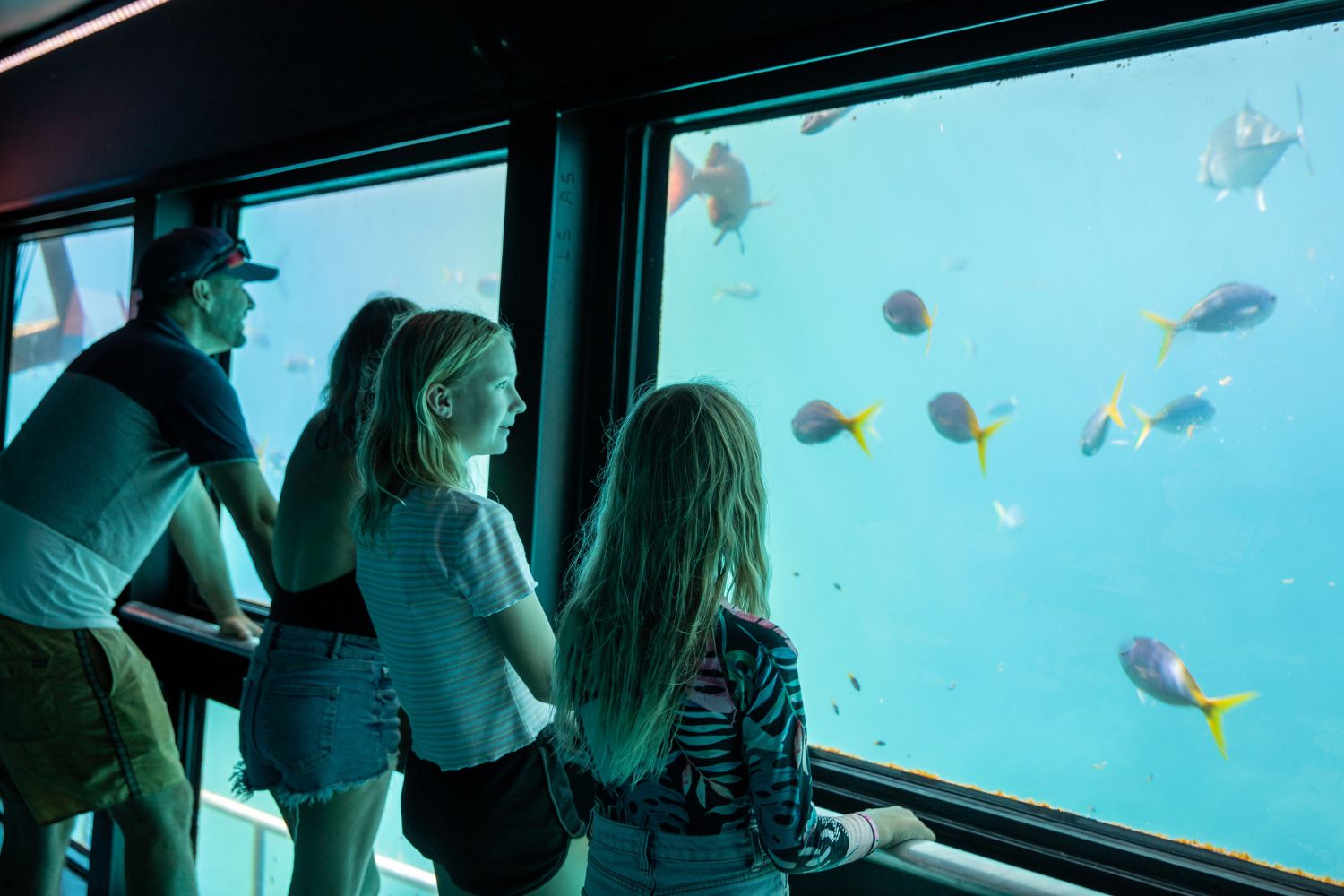 Above, on, in, and under the sea: The ultimate Great Barrier Reef ...