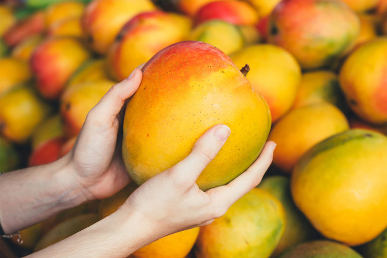Mango is on the menu in Cairns this summer | Cairns & Great Barrier Reef