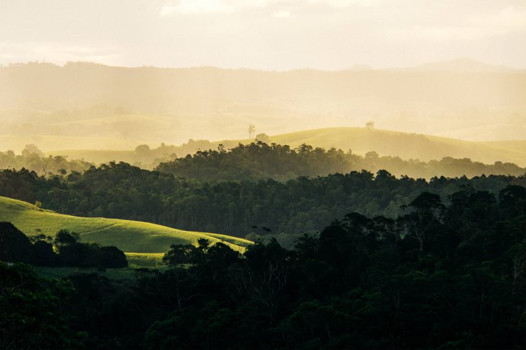 Tablelands Folk Festival 2025 | Cairns & Great Barrier Reef