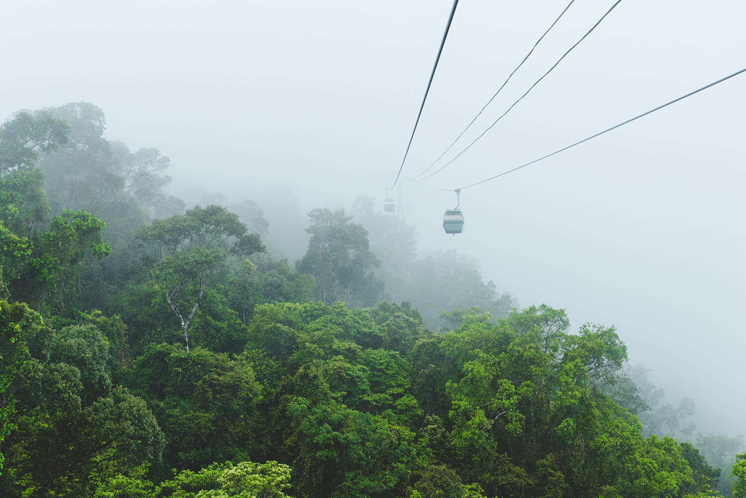 Skyrail Rainforest Cableway | Cairns & Great Barrier Reef