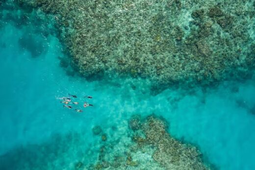 Tully Visitor Information Centre | Cairns & Great Barrier Reef