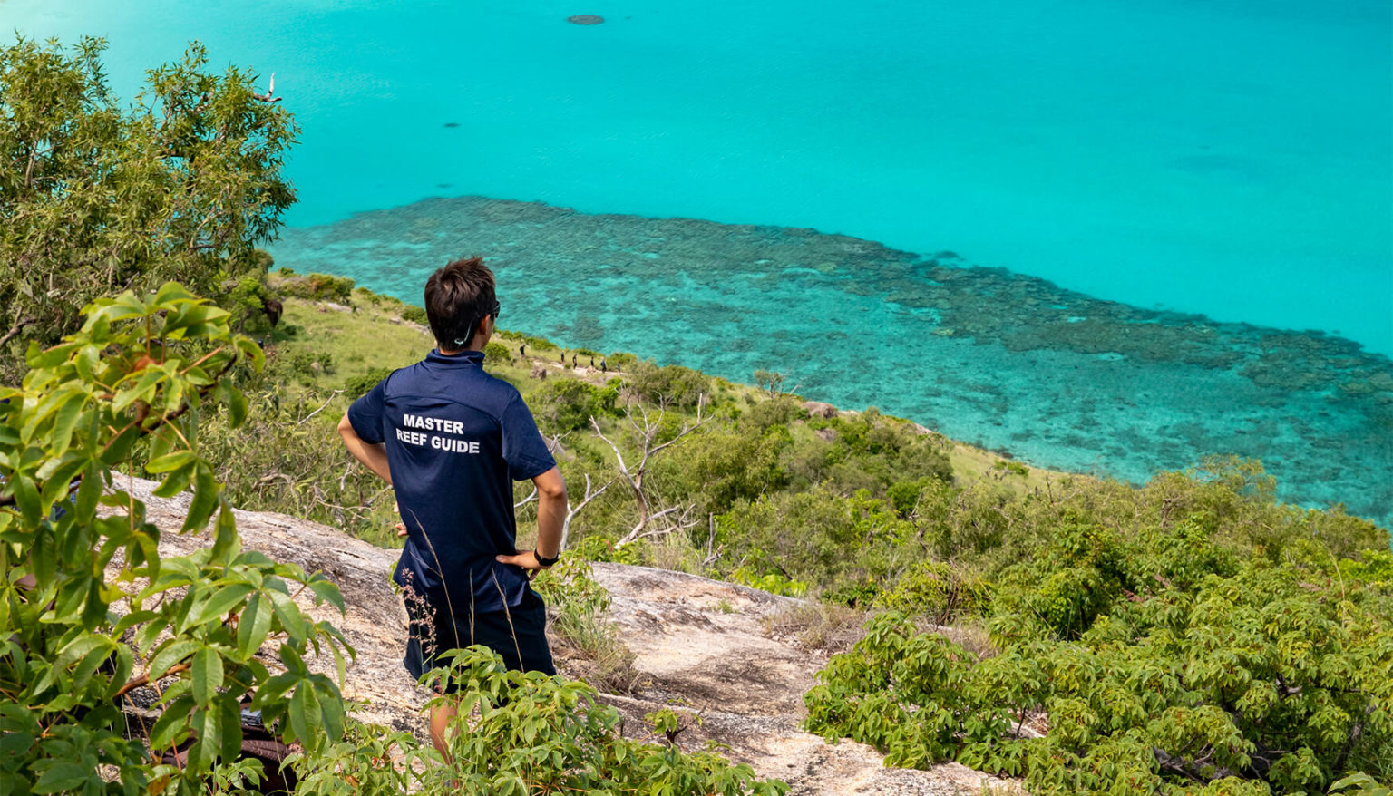 Everything you need to know about Master Reef Guides | Cairns & Great ...