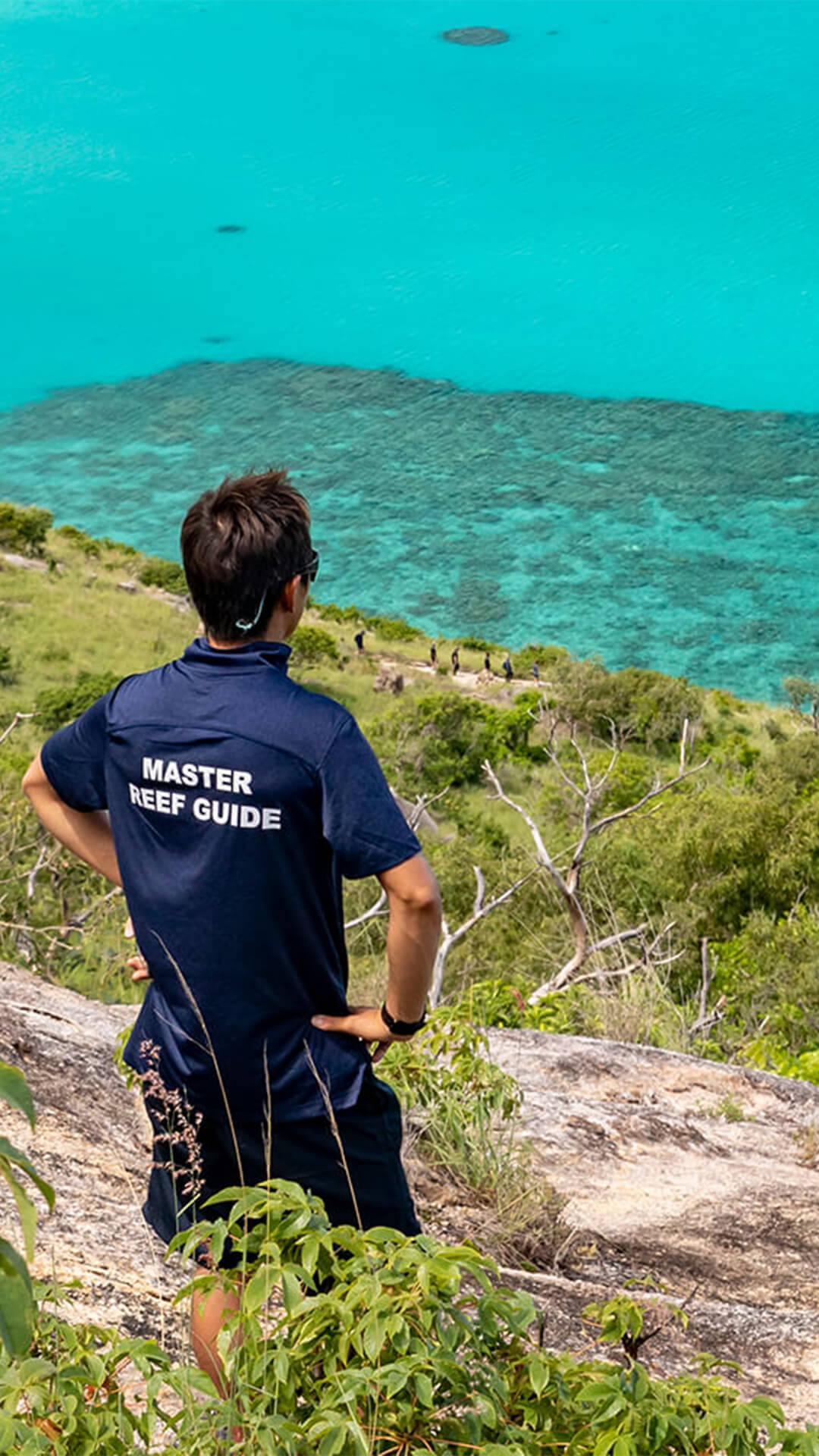 Ways You Can Help Protect The Reef | Cairns & Great Barrier Reef