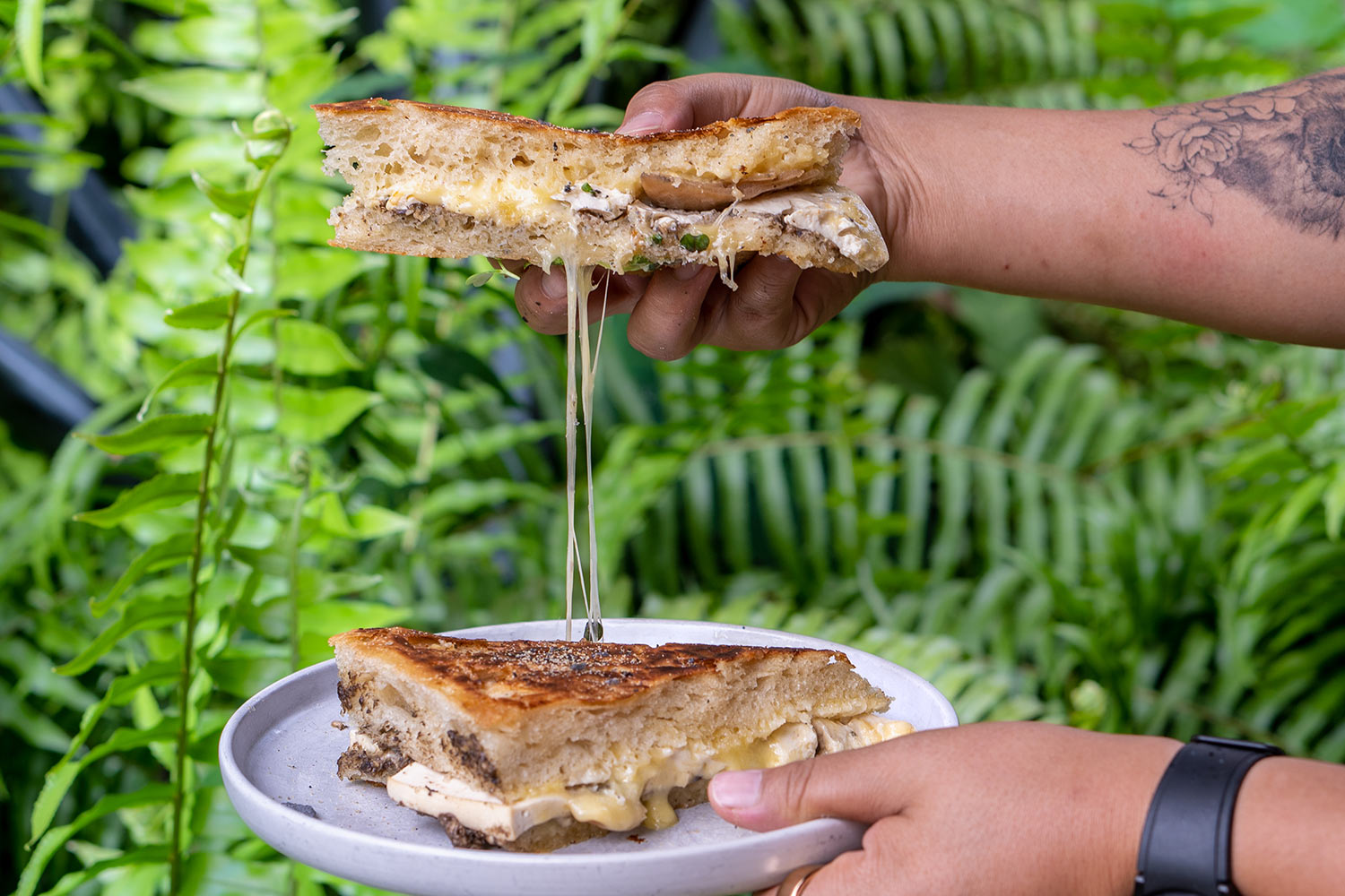 Vegan & Vegetarian Guide To North Queensland | Cairns & Great Barrier Reef