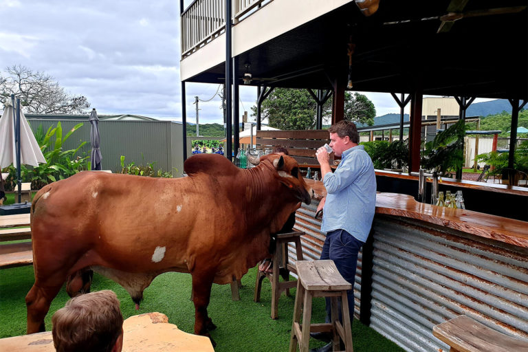 Kurcow Farm Experience | Cairns & Great Barrier Reef